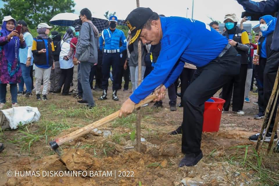 12 Ribu Pohon Jati Emas Mulai Ditanam, Rudi : Batam Green - acikepri.com