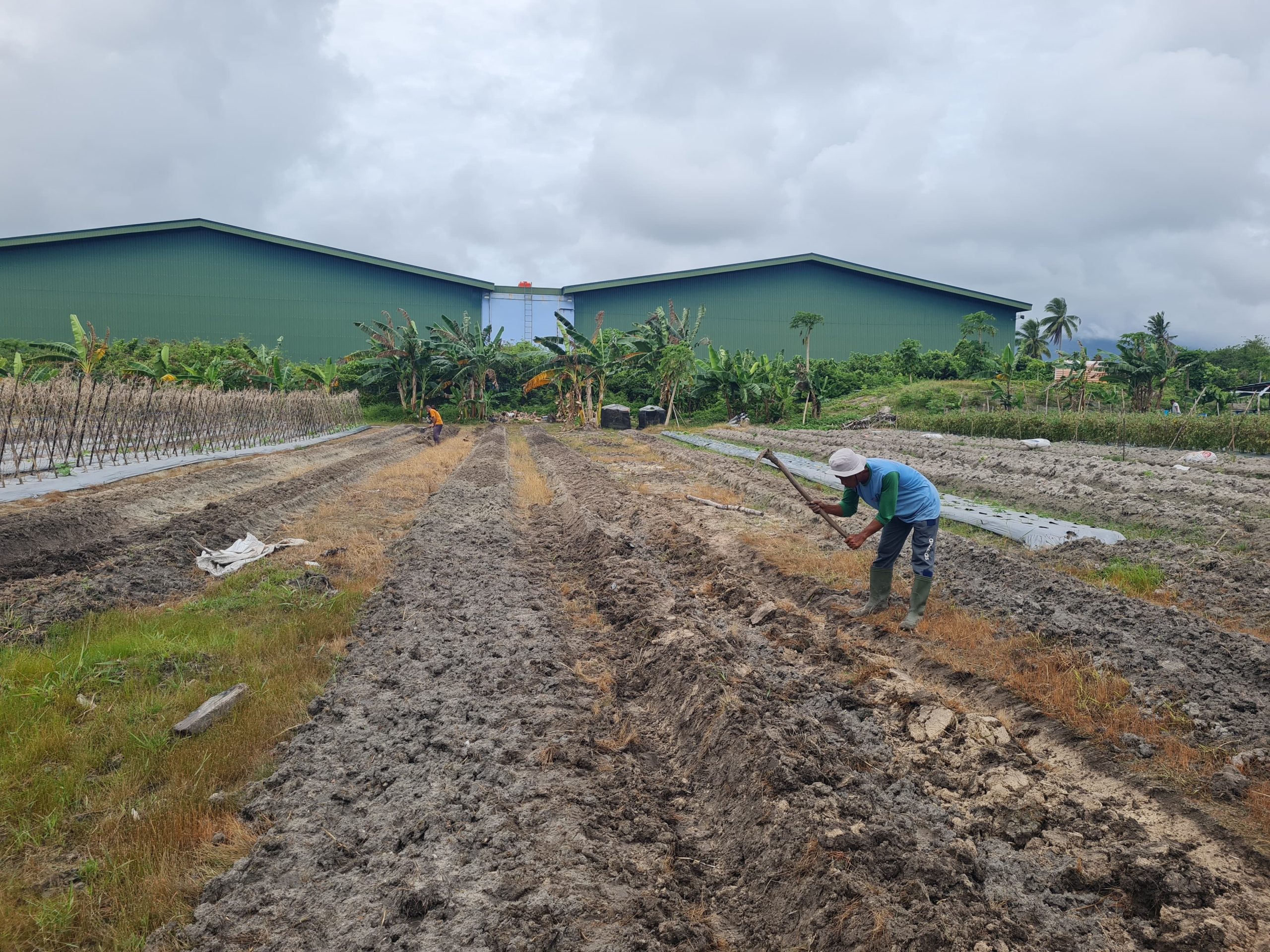 RSA Farm Lanud Raden Sadjad Natuna Benahi Drainase untuk Maksimalkan ...